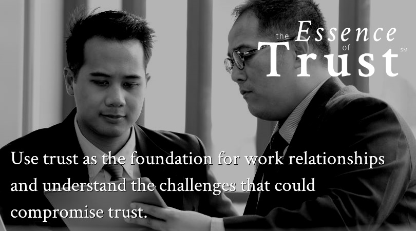 Essence of Trust - Organizational Development Program